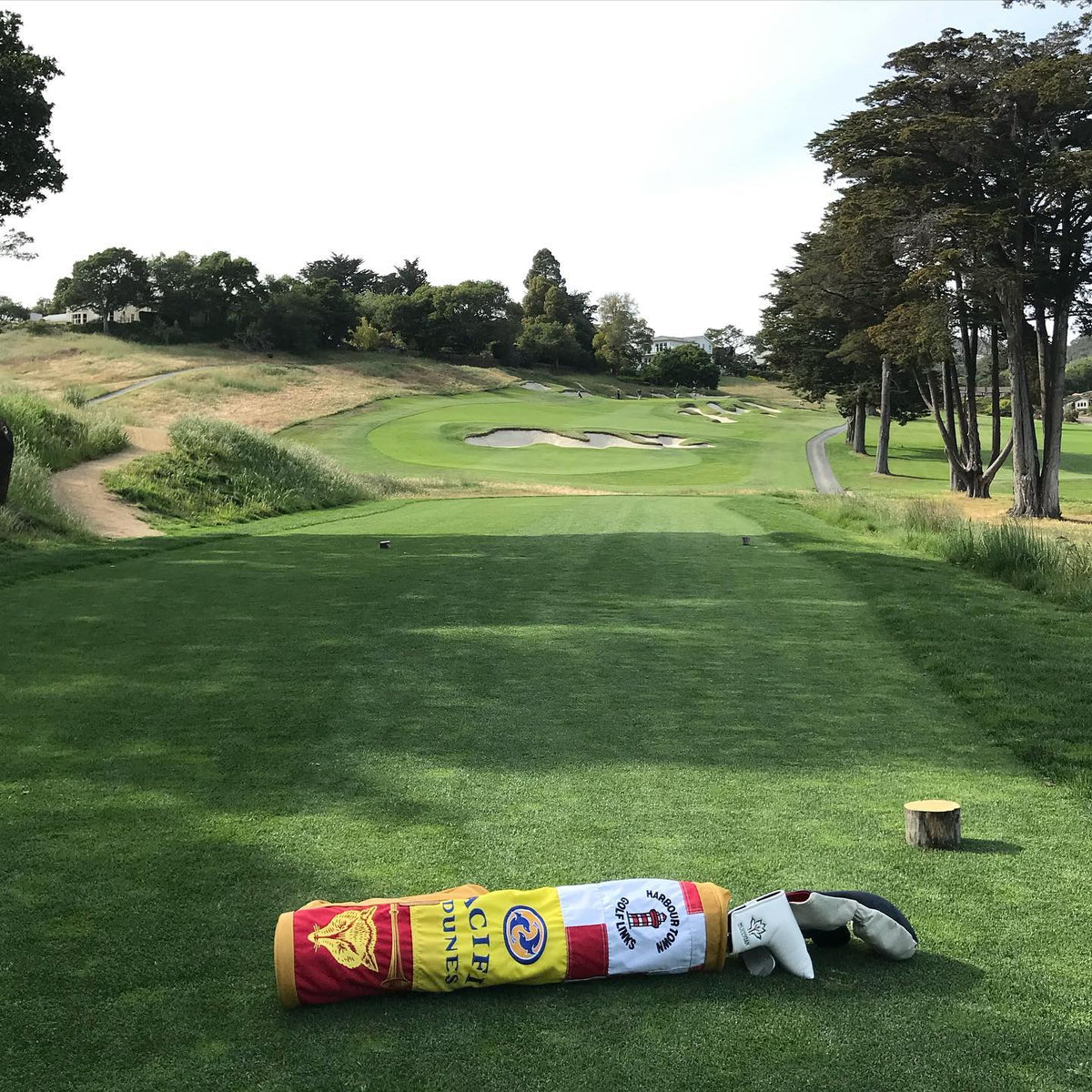 Feature: Résumé FlagBag for Sam Rothwell – FlagBag Golf Co.